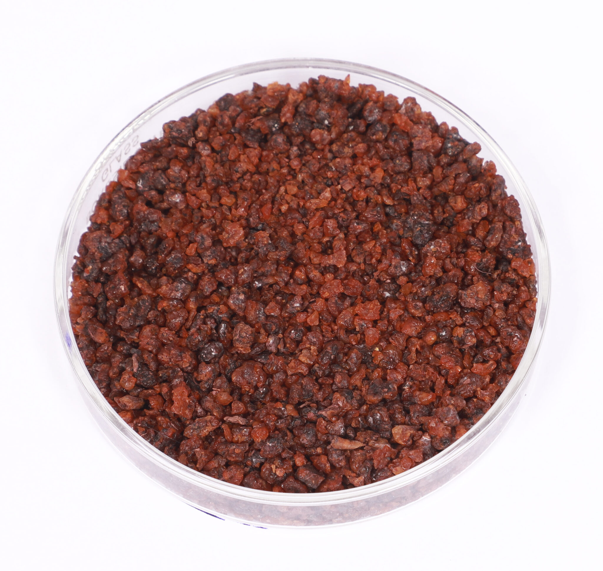 SEEDLAC – IndoLacca